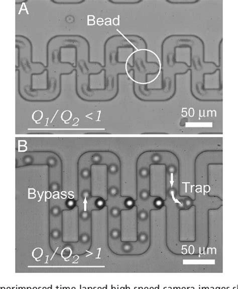 Figure 1 From A Trap And Release Integrated Microfluidic System For Dynamic Microarray