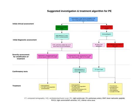 Guidelines For The Diagnosis And Management Of Pulmonary Embolism Pulmonary Embolism Pe Is A