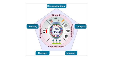 Design Of Switchable Enzyme Carriers Based On Stimuli Responsive Porous Polymer Membranes For