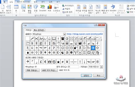 비행기 항공 특수기호문자 네이버 블로그