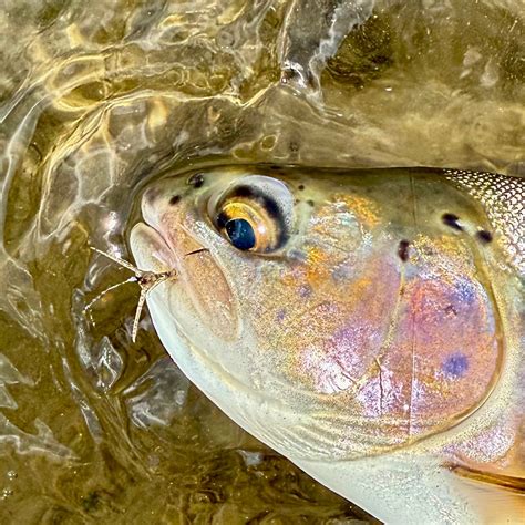 Andy Paschek Andy Paschek Added A New Photo