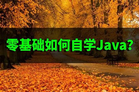 零基础如何自学java？ 知乎
