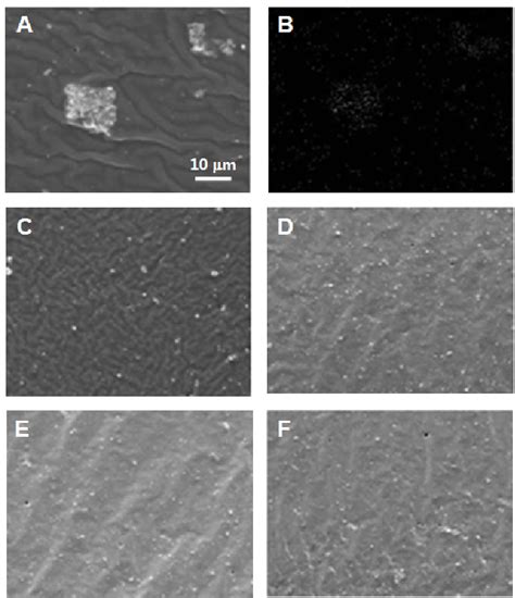 Figure 4 From In Situ Preparation Of Eco Friendly Hydrpxyapatitewaterborne Polyurethane