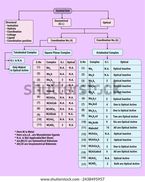 Mind Map Flow Chart Isomerism Stock Vector Royalty Free 2438495957