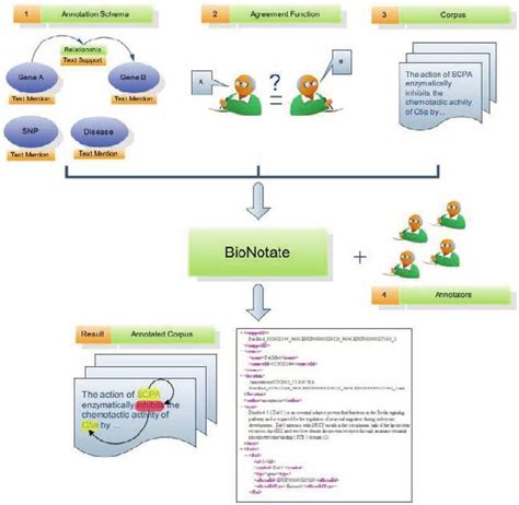 Information Workflow In And Out Of The Collaborative Annotation Module