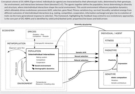 Predicting Evolution Requires Understanding Interactions Between Individuals It Is All About