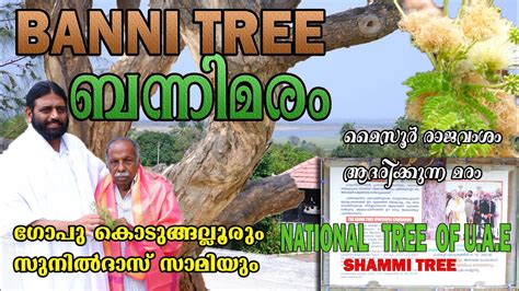 Banni Tree ബന്നി മരത്തെ കുറിച്ച് ഗോപു കൊടുങ്ങല്ലൂരും സ്വാമിജി സുനി