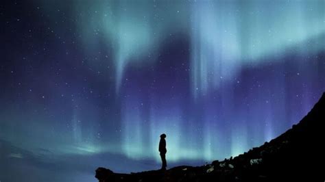 Aurorasaurus Aeco
