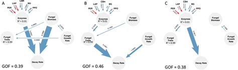 Directed Graph Of The Partial Least Squares Path Model Pls Pm
