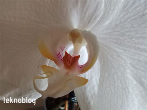 Huawei P Inceleme Foto Raflar Yorumlar Video Teknoblog