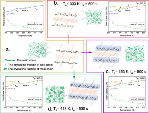 Schematic Illustration Of The Possible Molecular Ordering Variety Download Scientific Diagram