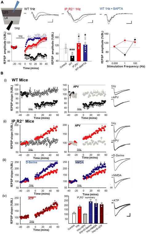 A Requirement For Astrocyte Ip3r2 Signaling For Whisker Experience Dependent Depression And