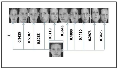 Ssim Before Modification Download Scientific Diagram