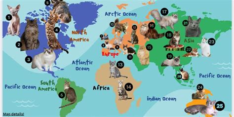 World Map Of Cat Breeds Soar