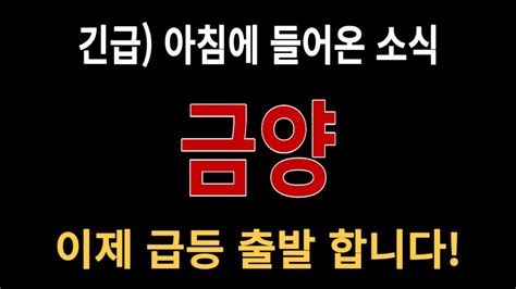 금양 금양금양전망금양분석금양목표가금양전망금양대응금양호재금양차트금양분석 Youtube