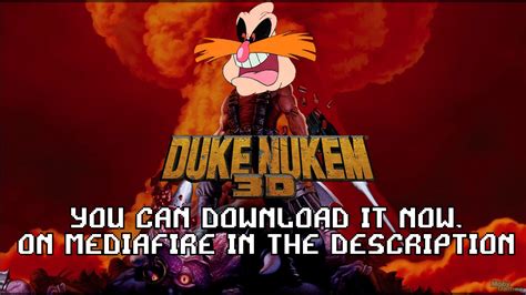 Pingas Wallpapers Wallpaper Cave