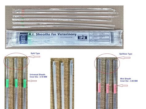 Ai Sheaths Sa 11a At ₹ 100pack A I Equipment Veterinary In