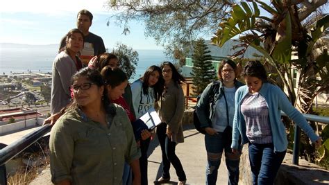 Galeria Metagenomics Cicese