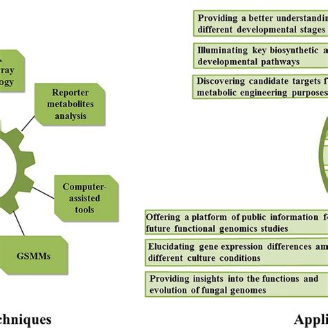 Commonly Used Techniques In Transcriptomics And A Summary Of The Download Scientific Diagram Commonly Used Techniques In Transcriptomics And A Summary Of The Download Scientific Diagram