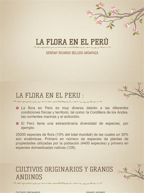 La Flora En El PerÙ Pdf