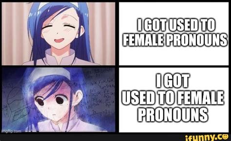 Eggirl Eggirl Gotusedto Female Pronouns Pronouns Ifunny