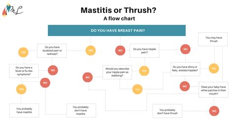 Your Most Common Mastitis Questions Answered — Mattos Lactation