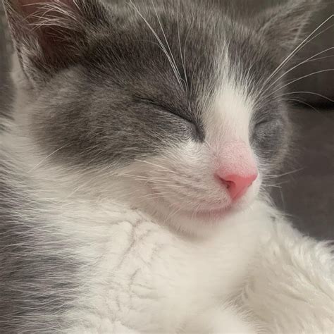 Hes So Cute
