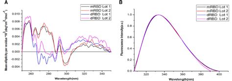 near uv cd and fs spectra of the mrbd and drbd lots of the rbd are