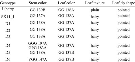 Stem And Leaf Character Of D Population Liberty X Sk111
