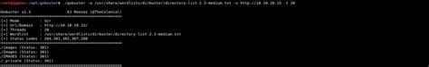 Granny Hackthebox Executeatwill