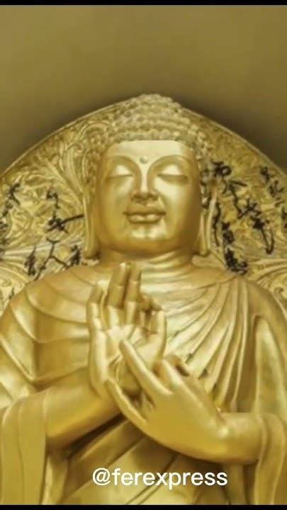 Sakadagami Youtube Youtuber Video Videoshow Shorts Shortsvideo Viral Viralvideo Buddha Nirvana