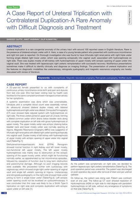 Pdf Case Report A Case Report Of Ureteral Triplication With Contralateral Duplication A Rare