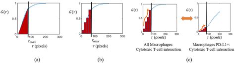 g function summary metrics a simple auc the g function curve is