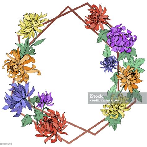 벡터 국화 꽃 식물 꽃입니다 잉크 아트가 새겨져 있습니다 프레임 테두리 크리스탈 장식 사각형입니다 0명에 대한 스톡 벡터 아트 및 기타 이미지 Istock