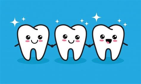 Симпатичные каваи зубы персонажей Премиум векторы Tooth Cartoon Cute Tooth Happy Birthday Art