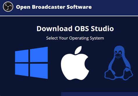fix obs display capture not working