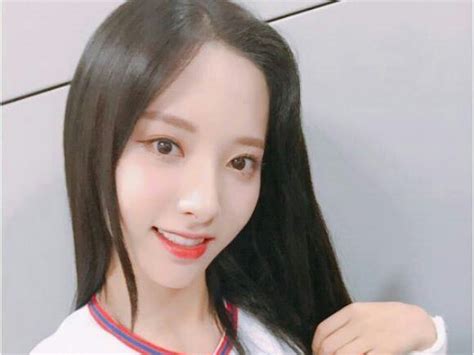 고야드 가방 Band