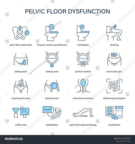 Pelvic Over 11978 Royalty Free Licensable Stock Illustrations