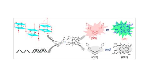 Detection Of G Quadruplex Structures Formed By G Rich Sequences From
