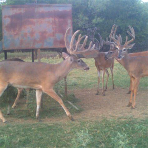 Robert Mcqueen Alumni Master Of Science Sam Houston State