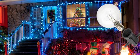 Traditional And Programmable Led Module String Lights