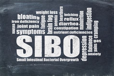 SIBO Vs IBS Differences Causes Treatments