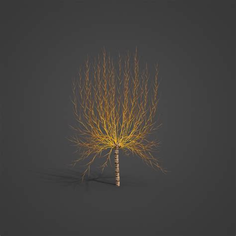 3d 2021 Pbr Golden Willow Collection Salix Alba Vitellina Model