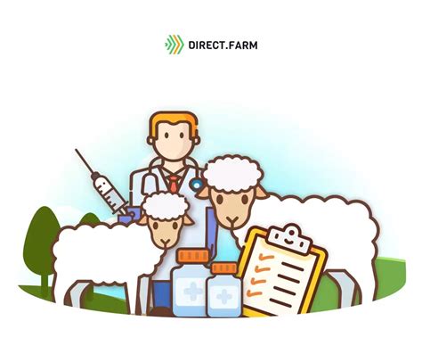 План вакцинации овец