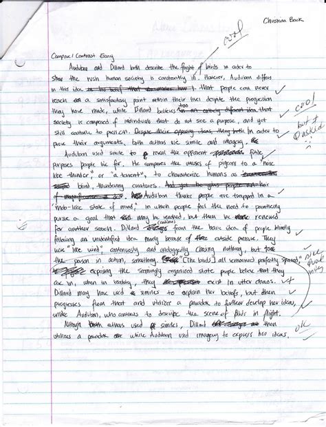 Ap Language And Composition Essay Samples