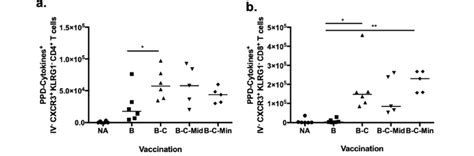 Ppd Specific Effector Cytokine Producing Parenchymal Cd4 T Cells And