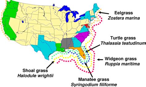 Figure 4 From Compliance Monitoring Of Dredging Induced Turbidity