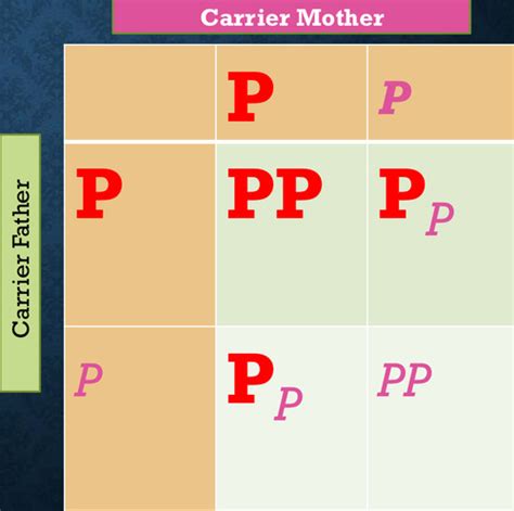 Genetic Disorders Flashcards Quizlet