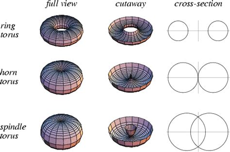 Torus