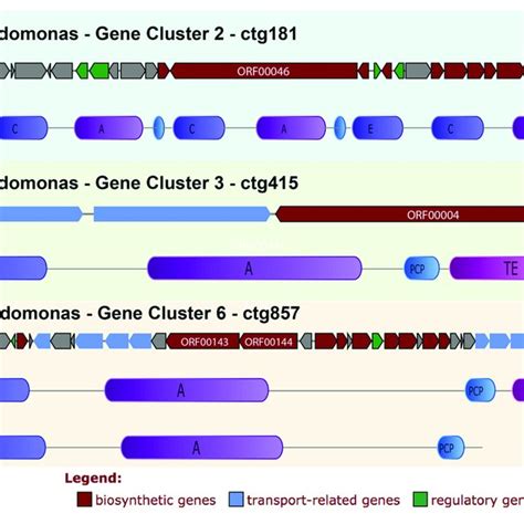 Enzyme Discovery From Metagenomes Functional And Sequence Based